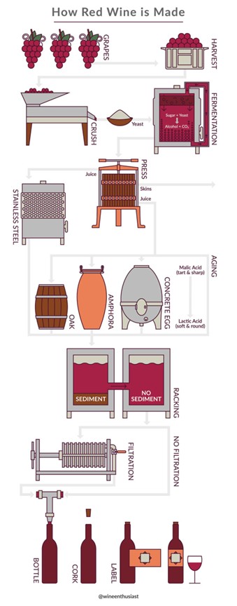 Decanting Wine – Why, When, and How – Bill's Thoughts on Wine, Travel ...